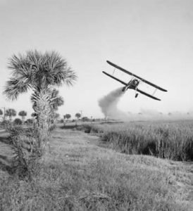 DDT Resistant Mosquitoes & Where DDT is Still Used